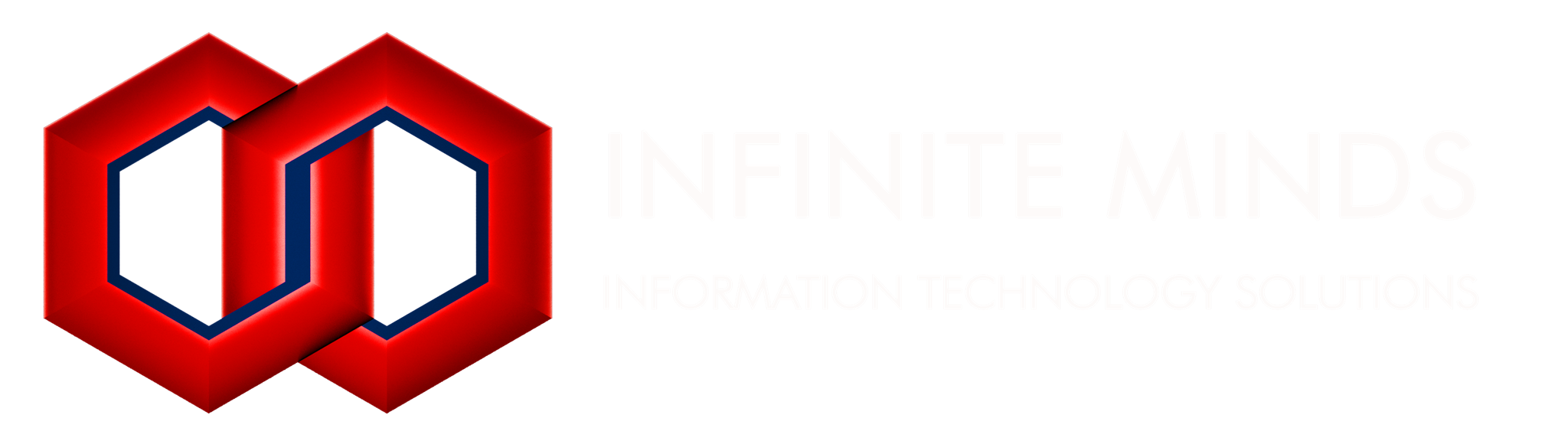 About Us - Infinite Minds